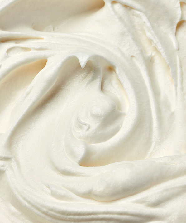 Vanilla - Connoisseur